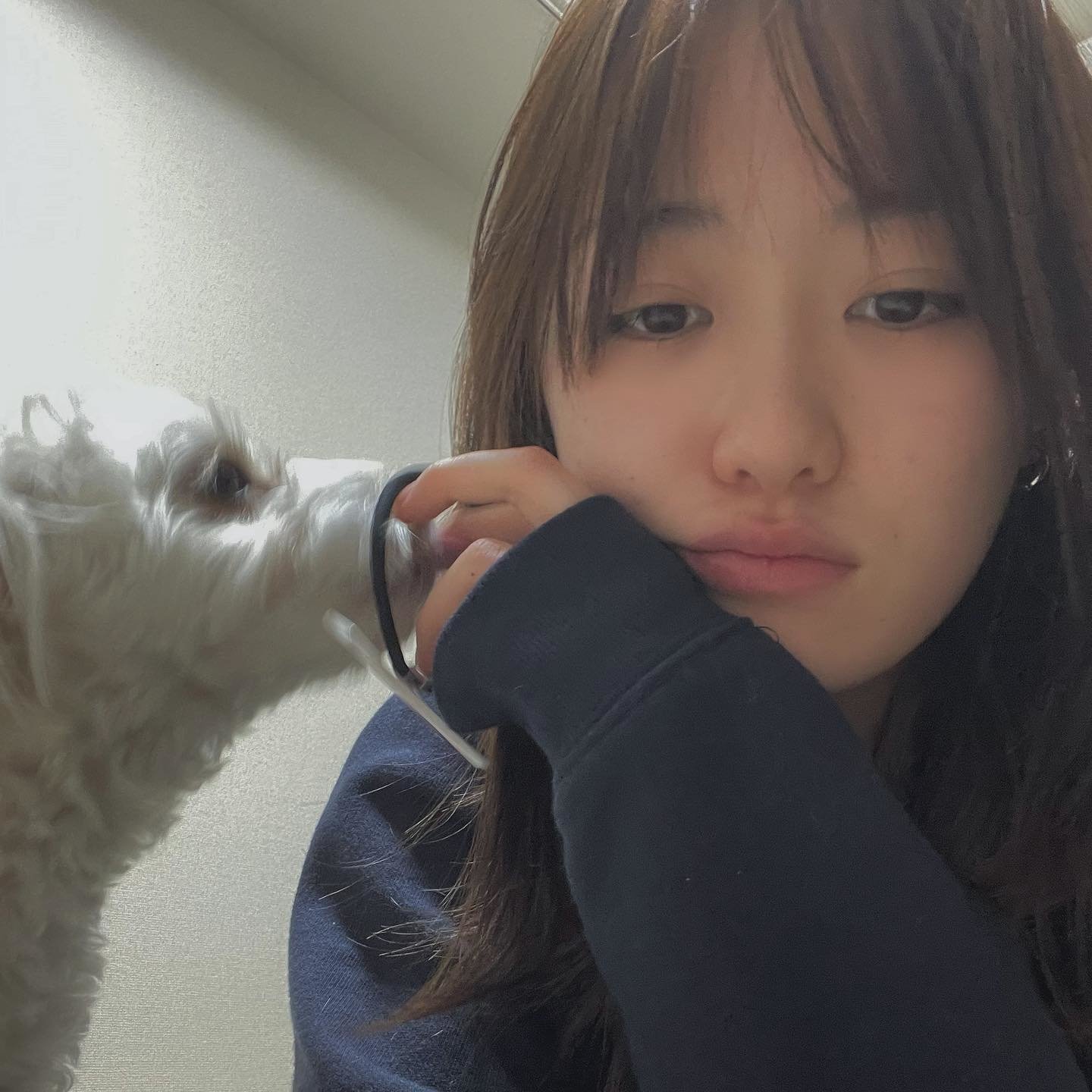 Picture Board - Hello!Online